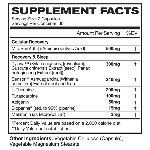 Sleep + Recover // Nighttime Recovery – Jersey shore supplements