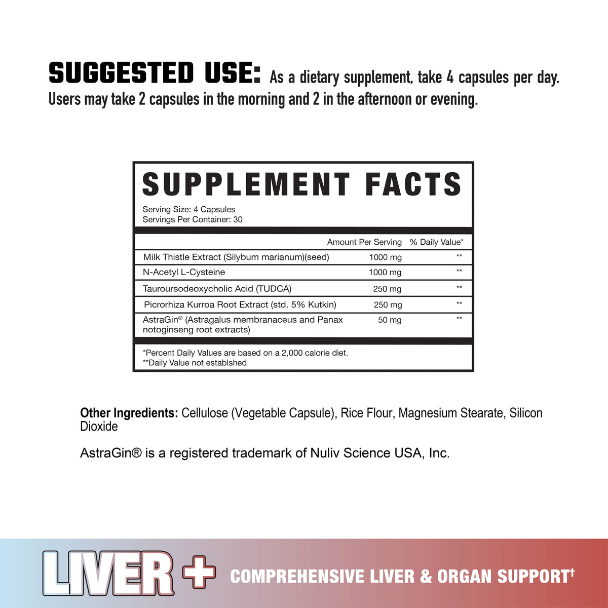 Liver+ // Liver & Organ Support – Jersey shore supplements