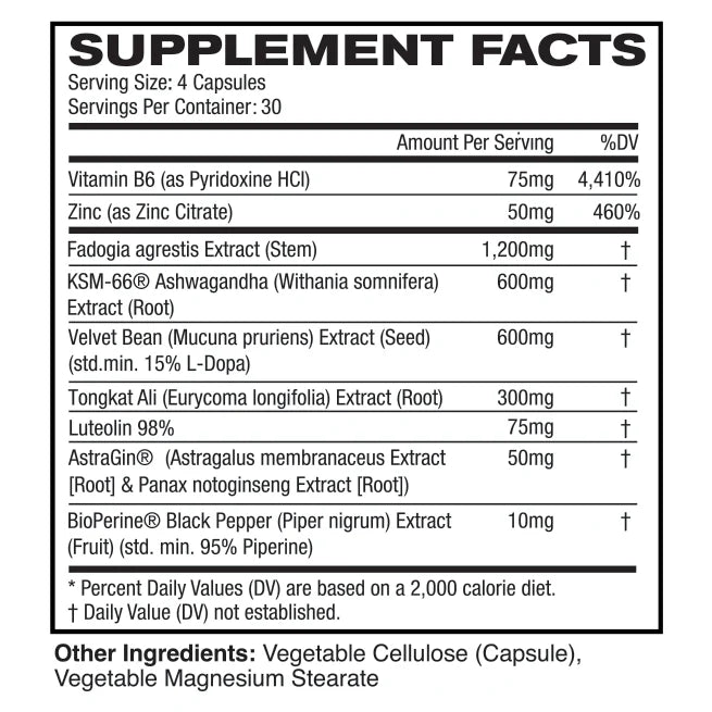 Elevated // Testosterone Booster – Jersey shore supplements